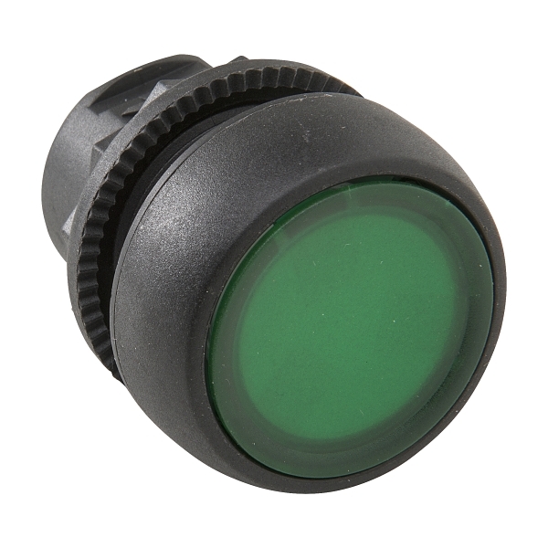 Allen-Bradley 800F Pushbutton 22.5 mm Head Only Plastic Momentary Flush ...