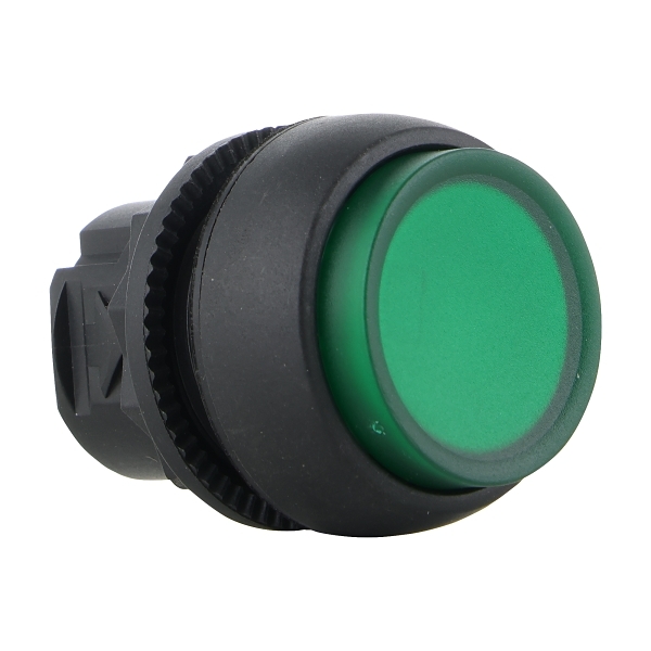 Sprecher and Schuh D7 PushButton 22.5 mm Plastic Momentary Illuminated ...