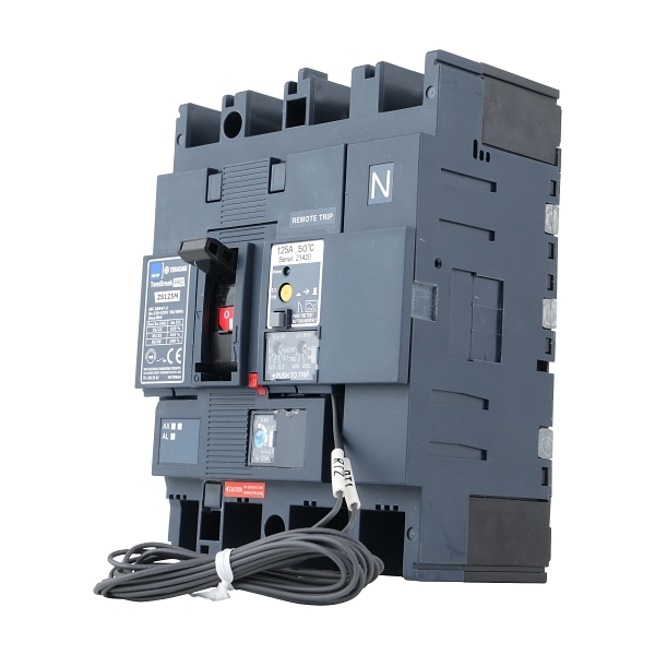 Terasaki TemBreak PRO ELCB 125 Frame 65kA 4P 125A 30mA 3A Adj. Thermal ...
